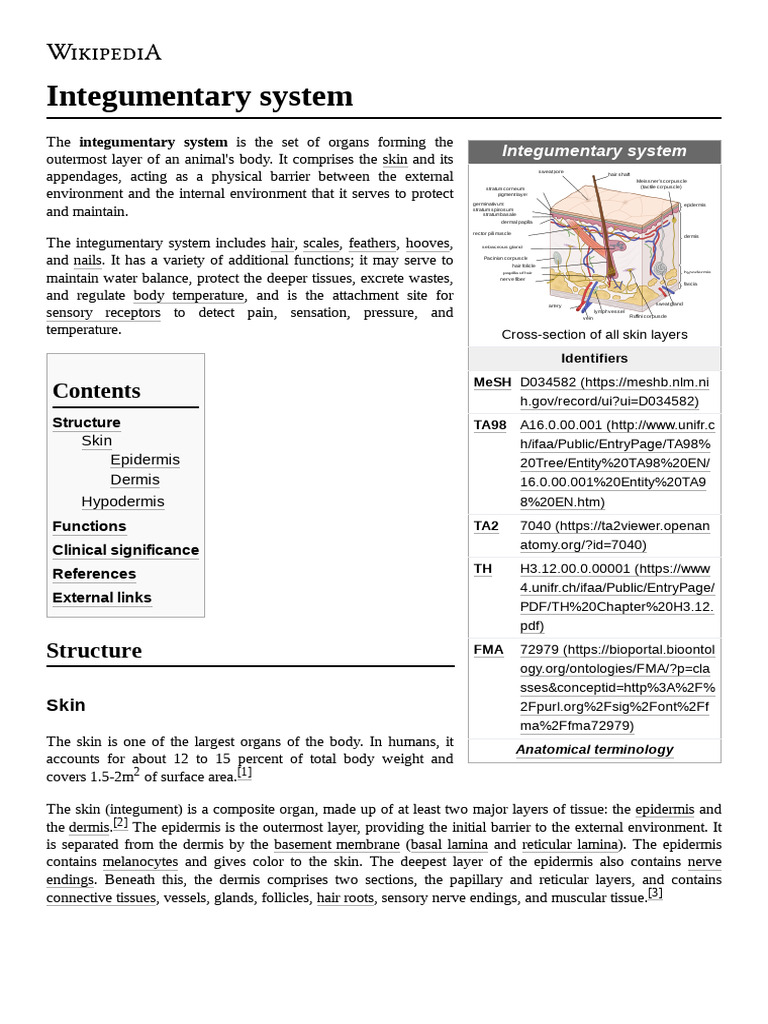 Integumentary_system | PDF | Integumentary System | Organ (Anatomy)