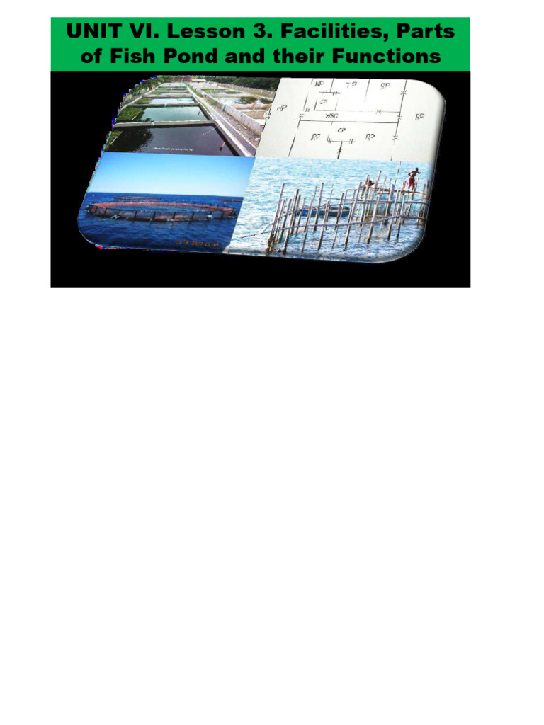 Parts and Functions of Fish Ponds | PDF | Water | Hydrology