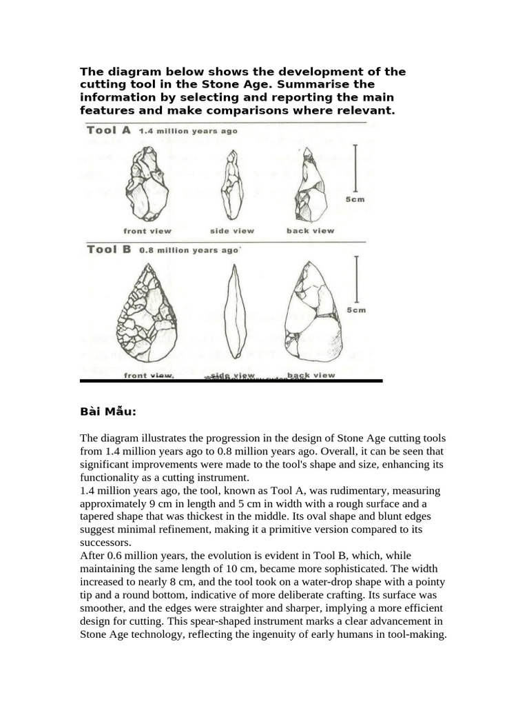 (Process) Compulsory Absorb | PDF