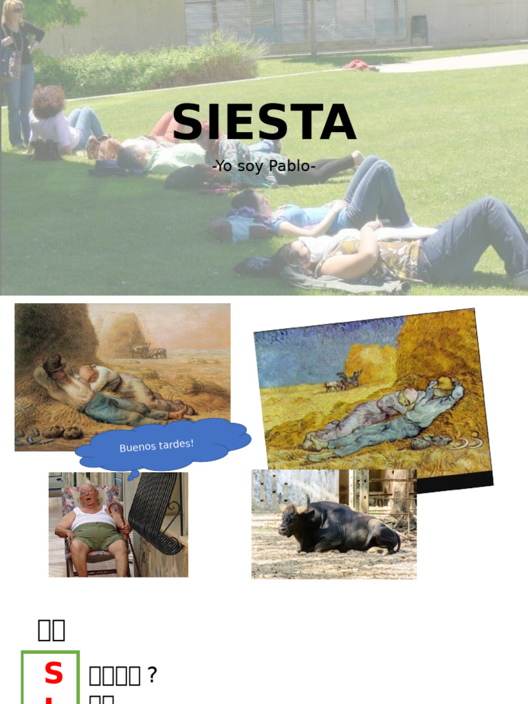 SIESTA | PDF