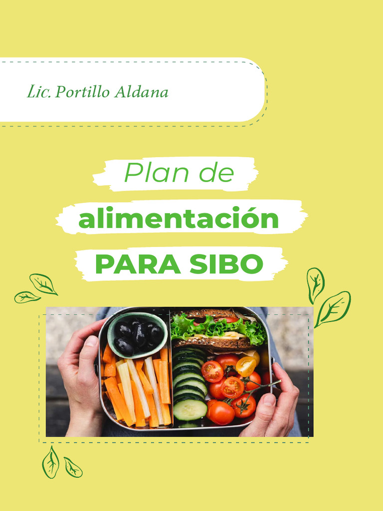 Plan Tto SIBO - Lic. Portillo Aldana | PDF | Panes | Alimentos