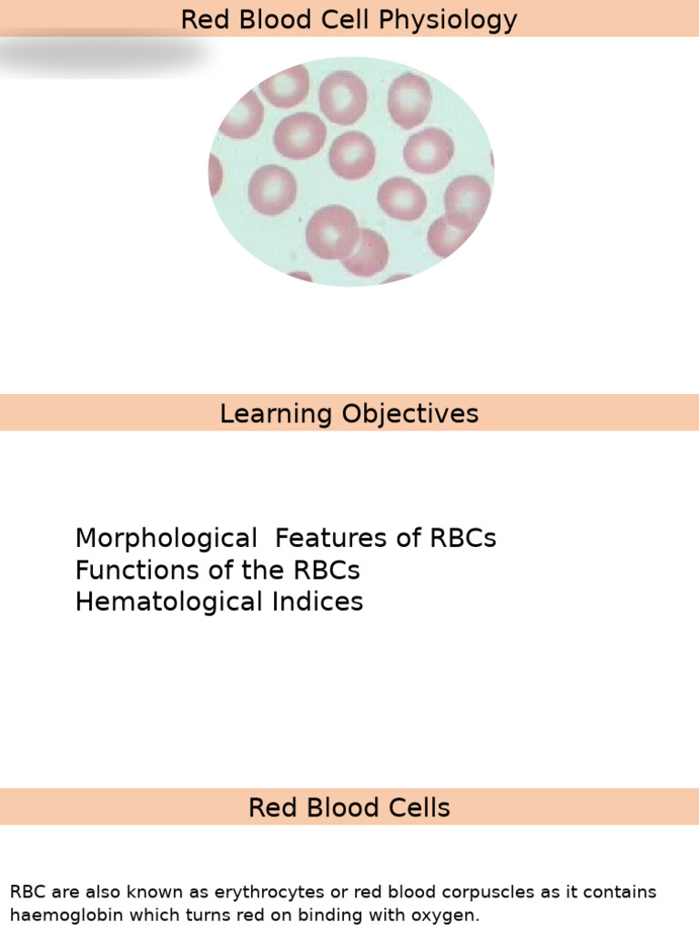 Lec 4 Hematology RBCs | PDF | Red Blood Cell | Blood