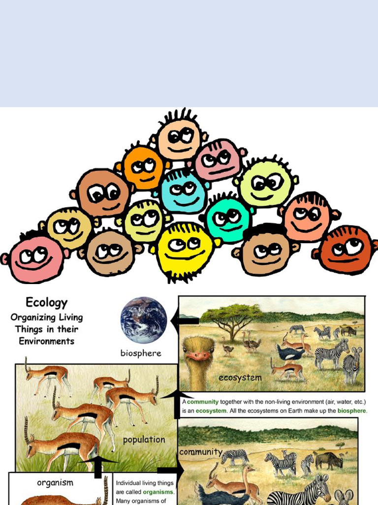 11 4 LS Pop Studies | PDF | Eusociality | Biogeography