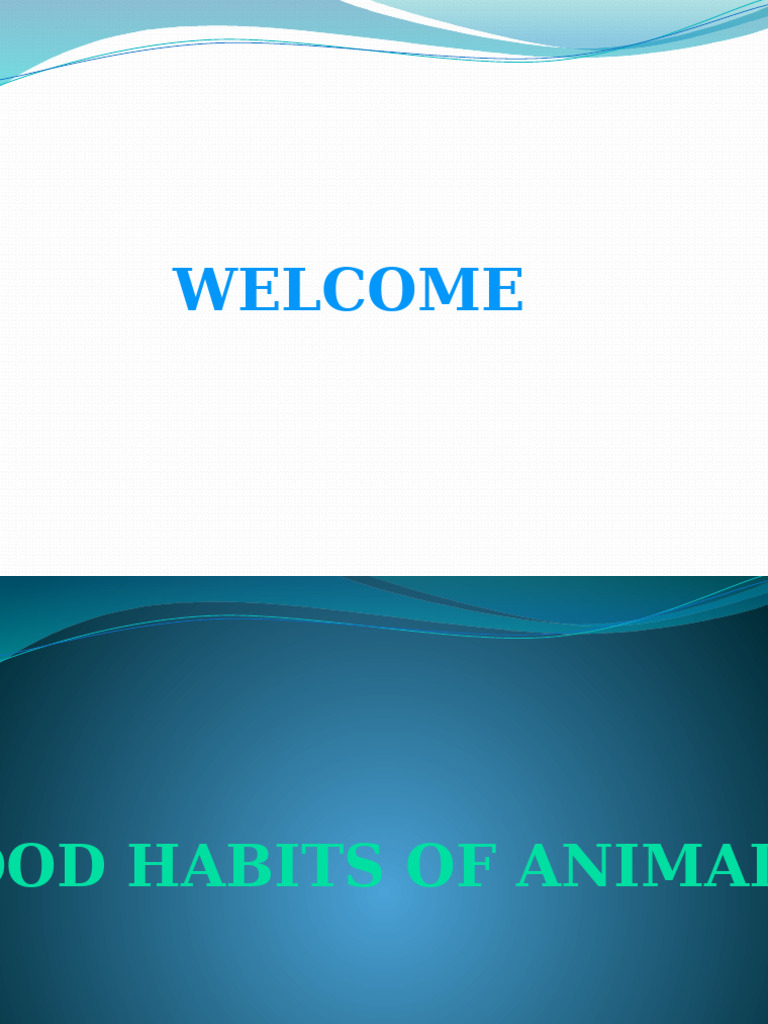 Animal Food Habits Explained | PDF