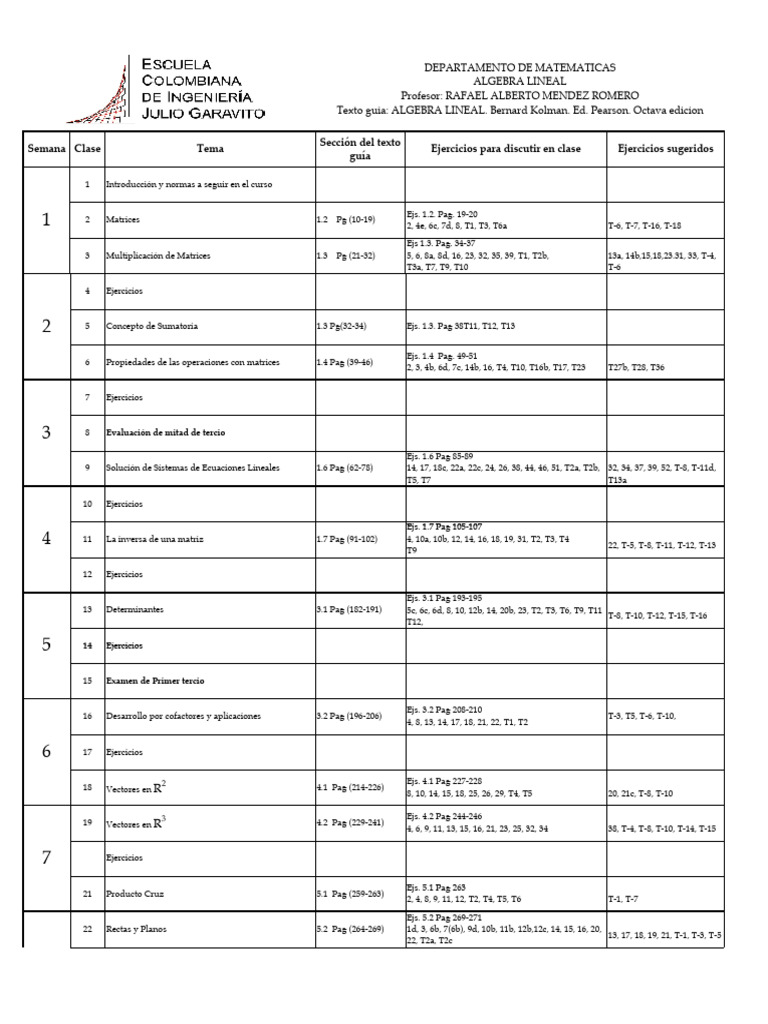 Programa Dia A Dia ALLI 2010-1 | PDF | Álgebra | Álgebra lineal