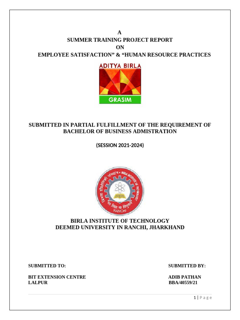 Bit Summer Intership Project Birla | PDF | Chemical Substances