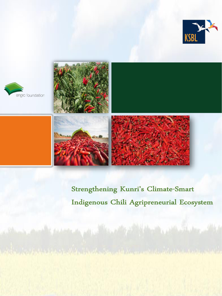 Strengthening Kunri's Climate-Smart Indigenous Chili Agripreneur ...