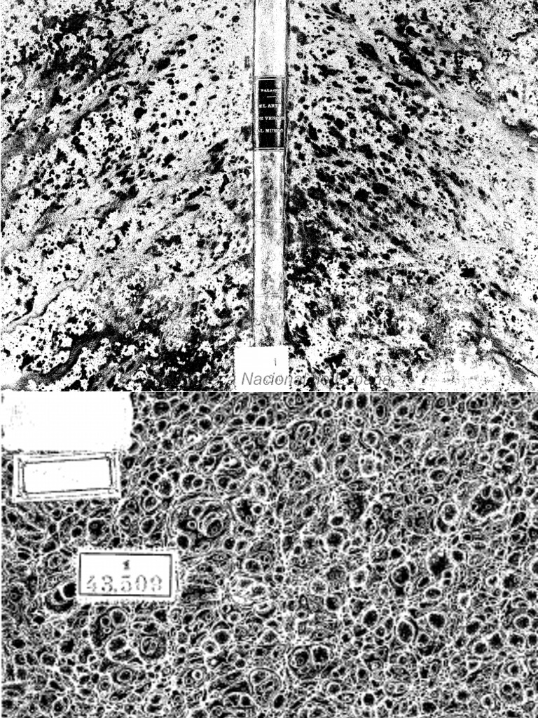 El Arte de Vencer Al Mundo | PDF | Amor | Alma