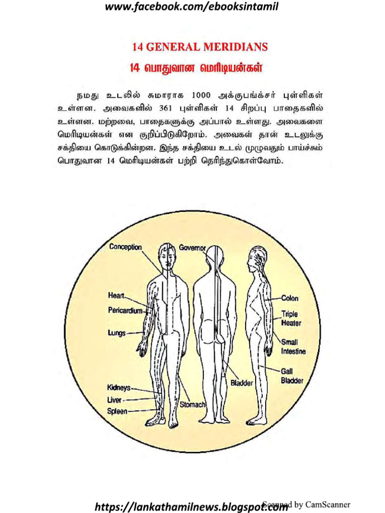 General Meridian Details | PDF