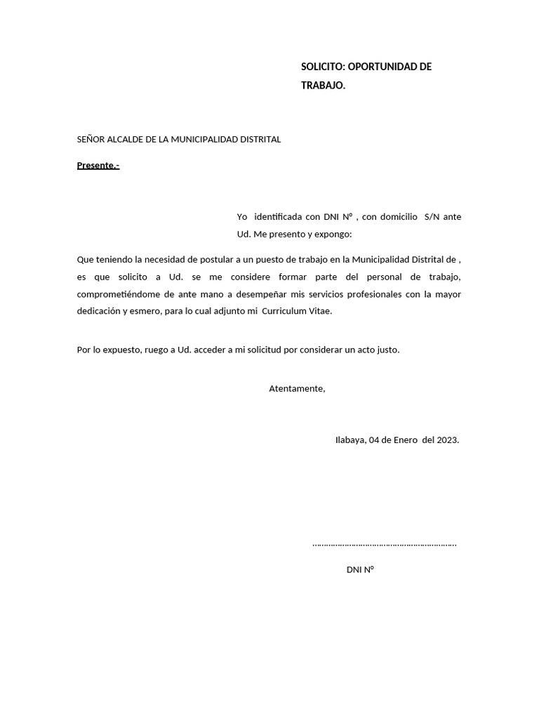 SOLICITO TRABAJO 2025 MODELO | PDF