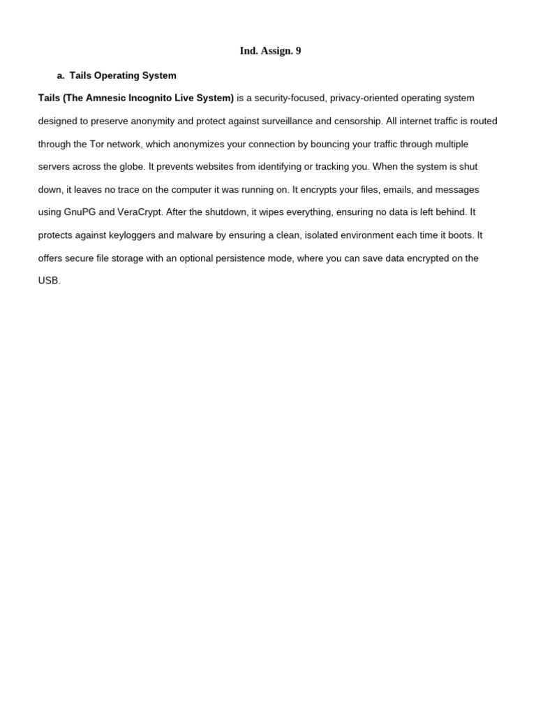 E-Commerce Individual Assignments | PDF