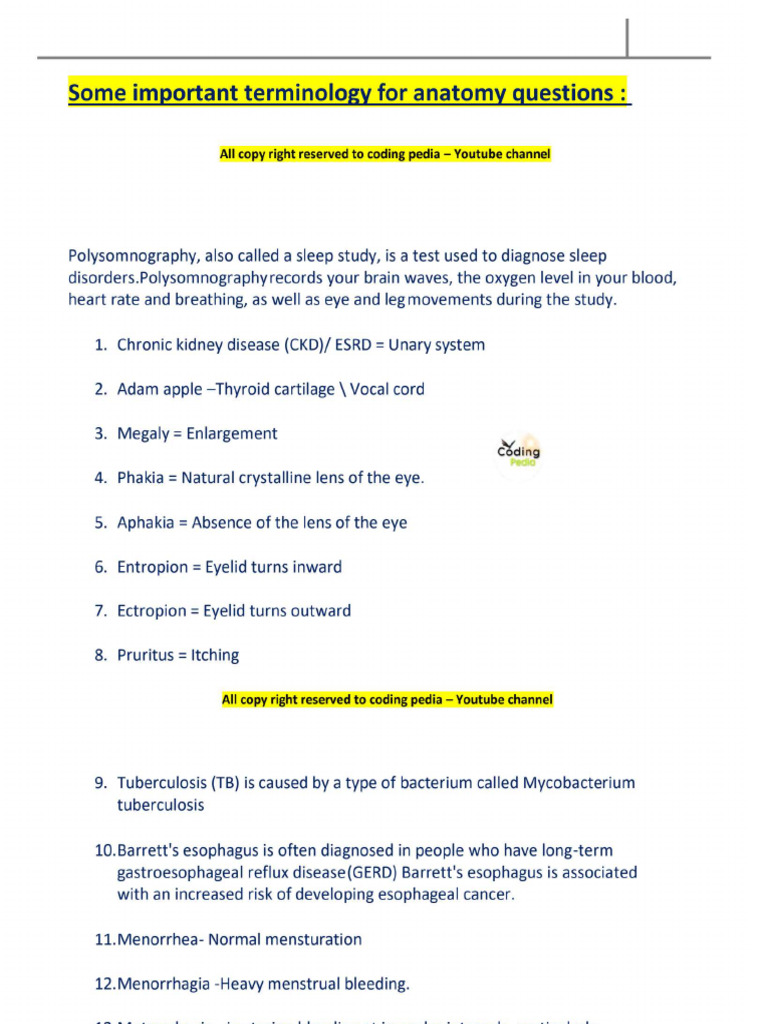 Anotomy and Terminology | PDF