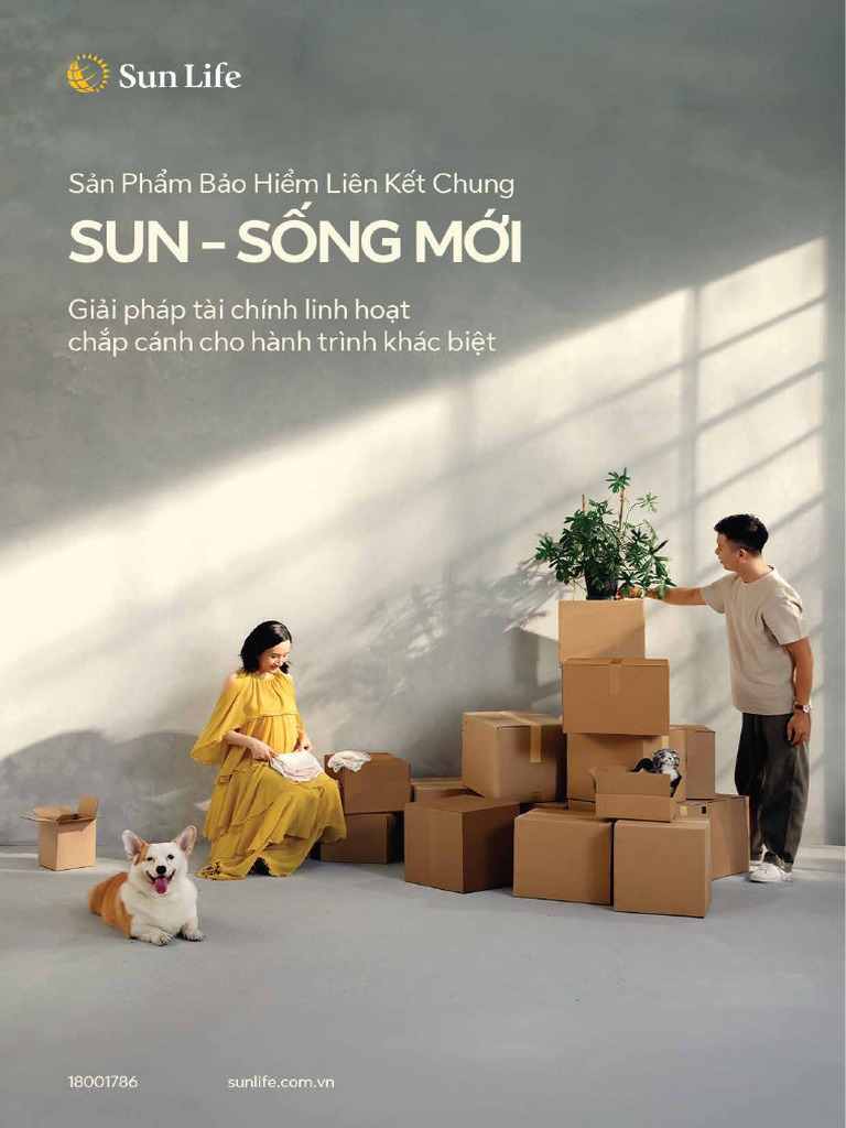 Sun Life Document 18001786 Overview | PDF