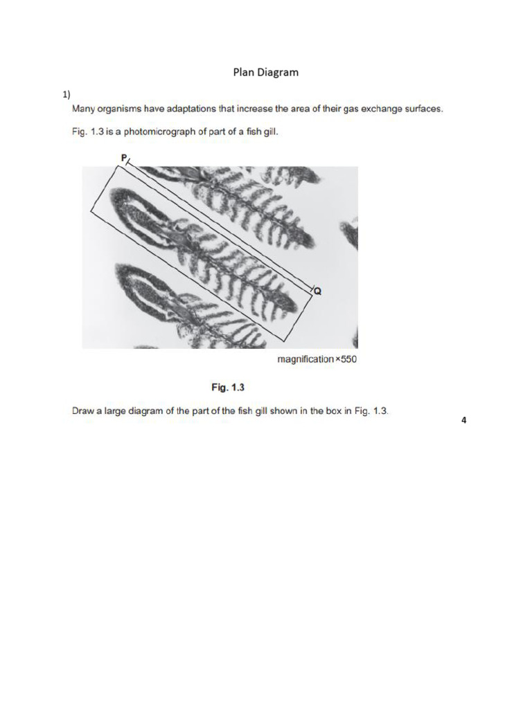 Plan Diagram IGCSE 2017-2022 | PDF