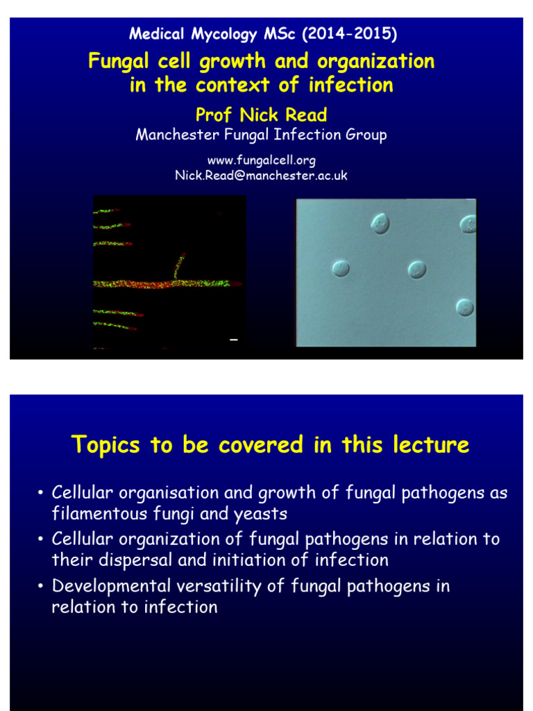 Fungal Pathogen Growth and Infection | PDF | Fungus | Cell Membrane