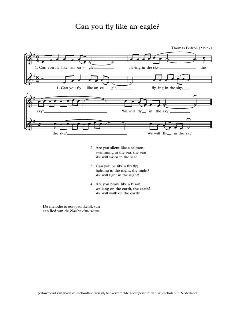 Can You Fly Like An Eagle - 2st | PDF