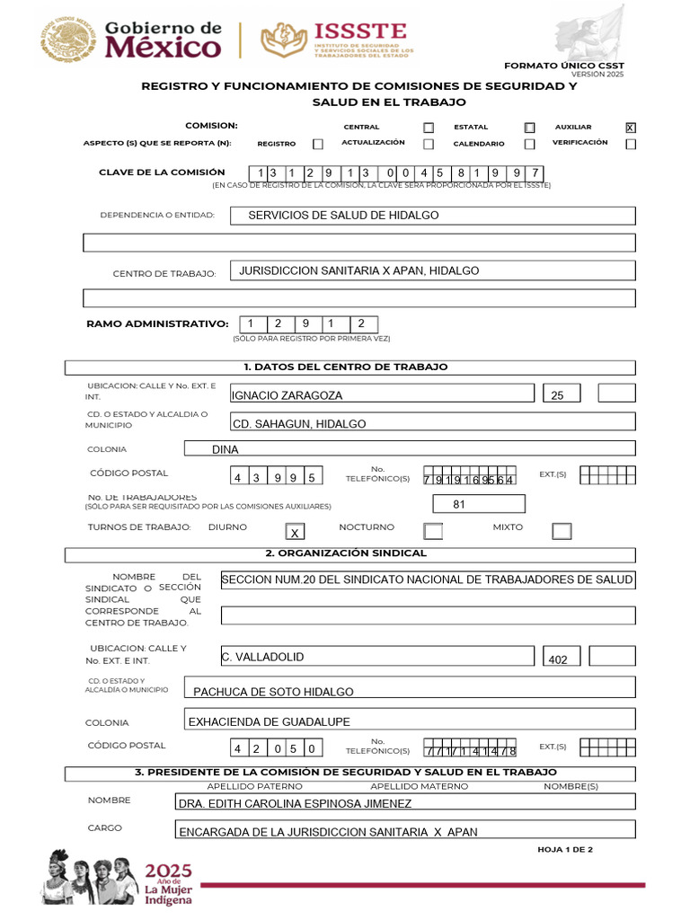 Formato Unico-Version 2025 - CSST | PDF