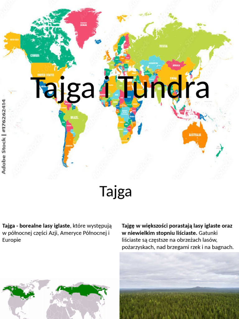 Prezentacja Geografia Tajga I Tundra | PDF