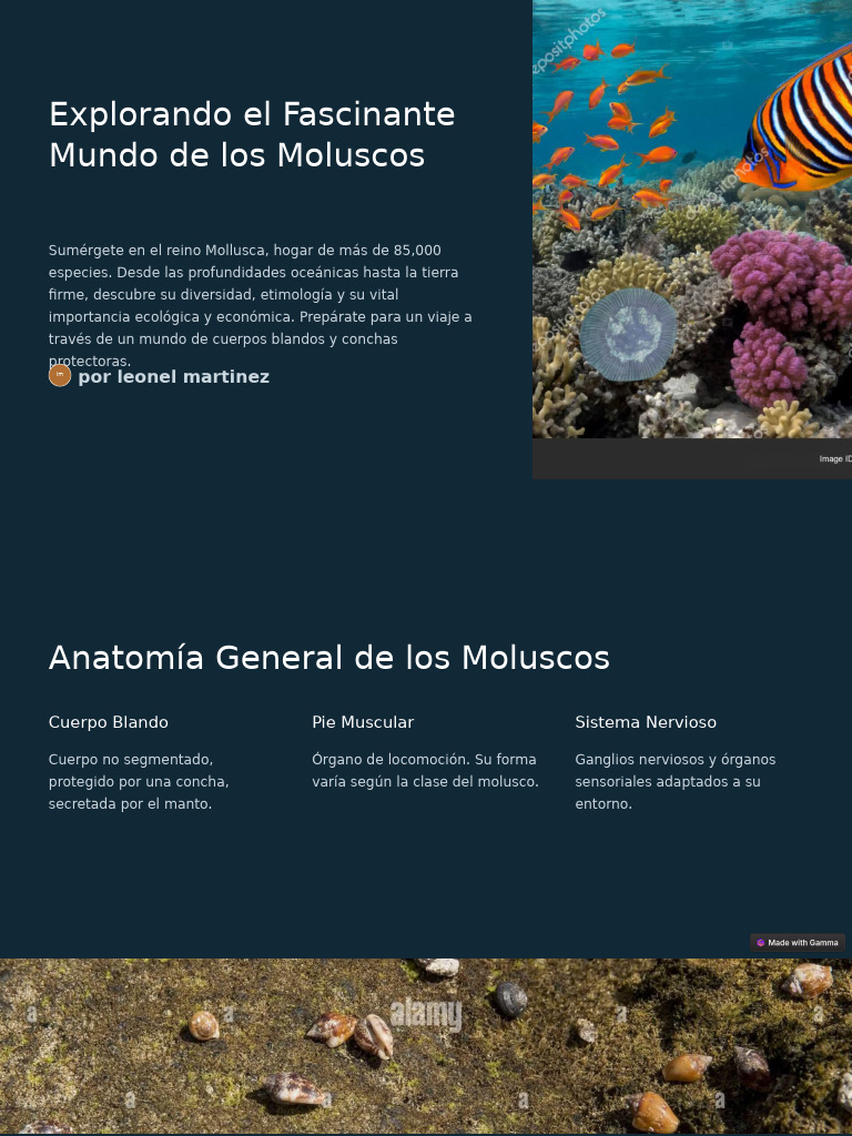 Explorando El Fascinante Mundo de Los Moluscos | PDF | Moluscos | Bivalvia