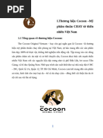 giới thiệu về Cocoon | PDF