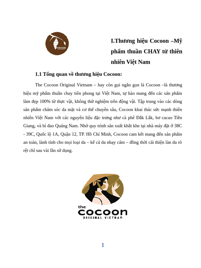 PHÂN TÍCH HIỆN TRẠNG DOANH NGHIỆP COCOON | PDF