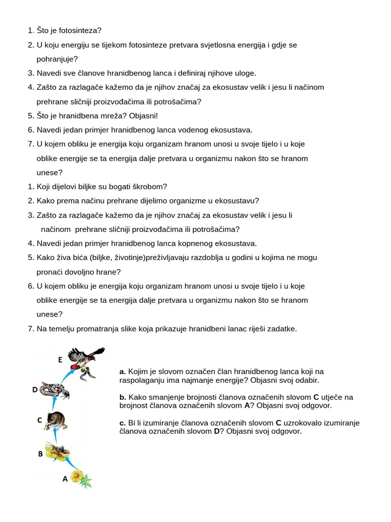 Priprema Za Pisanu Provjeru - Energija 1 | PDF