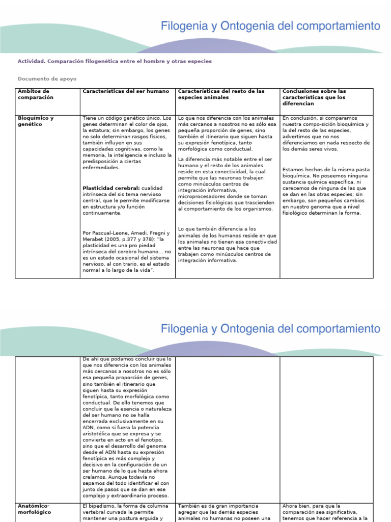 Actividad Cuadro1ma - Filogenia | PDF | Humano | Cerebro