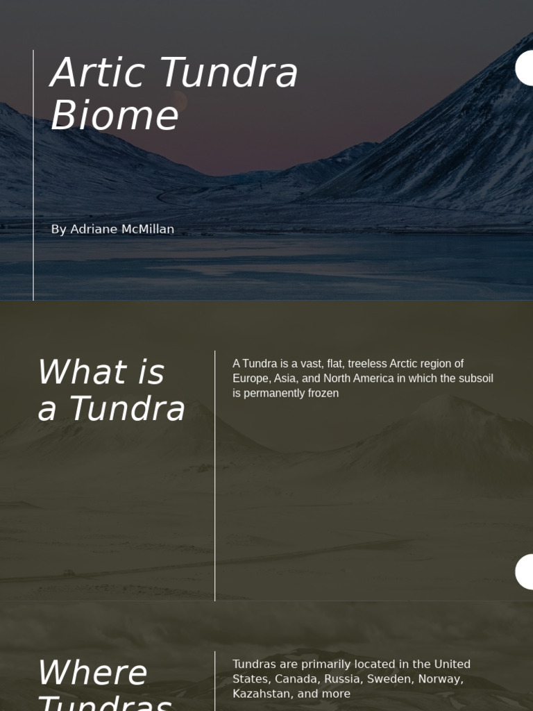 Tundra | PDF