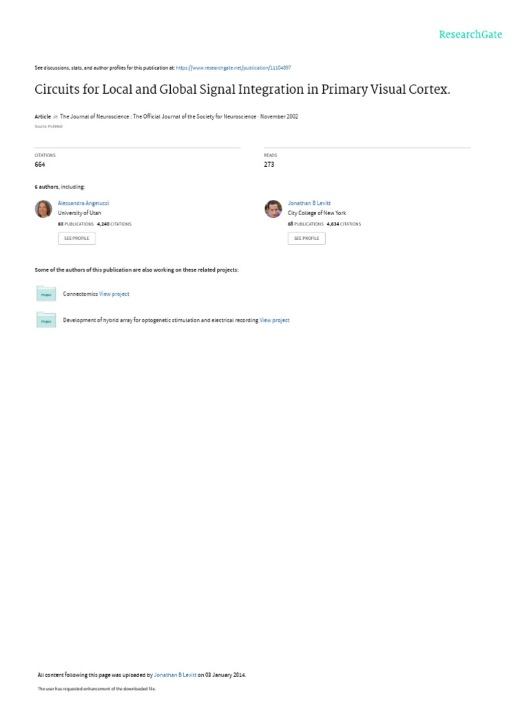 Circuits For Local and Global Signal Integration I | PDF | Visual Cortex