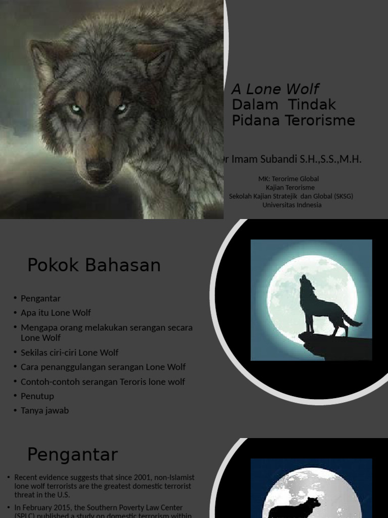 Understanding Lone Wolf Terrorism | PDF | Extremism | Insurgency