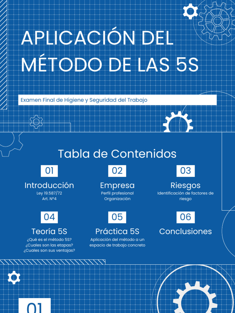 Programa de Aplicación de 5S | PDF | Seguridad y salud ocupacional | Valores