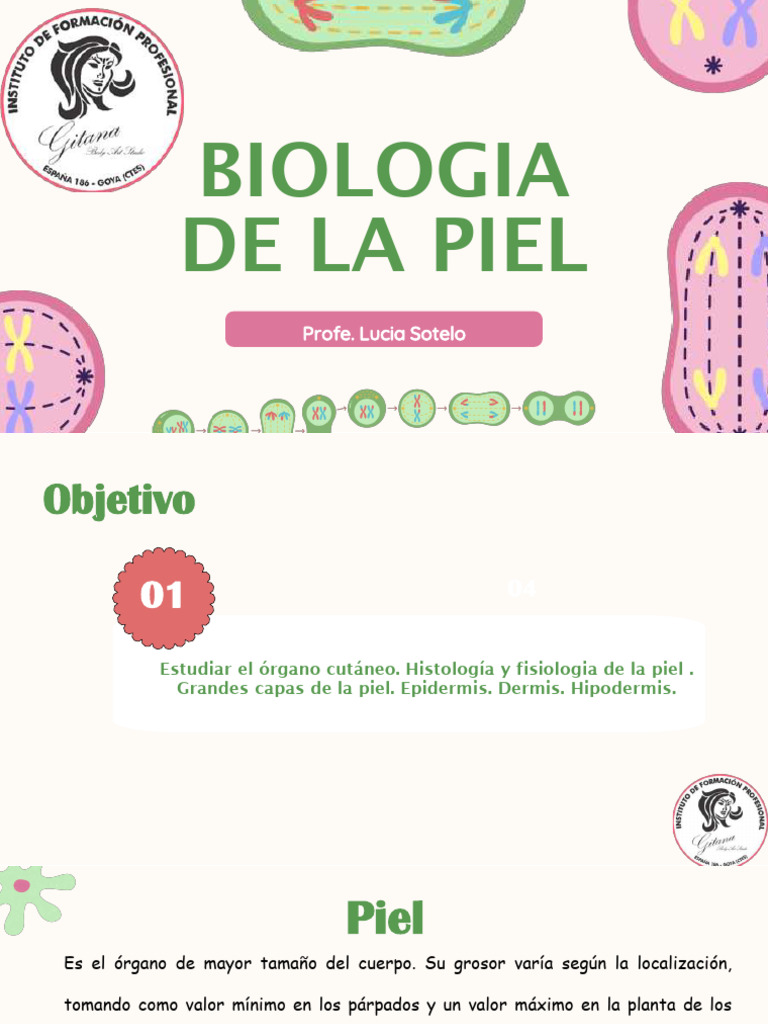 Biologia El de La Piel - Piel | PDF | Piel | Epidermis