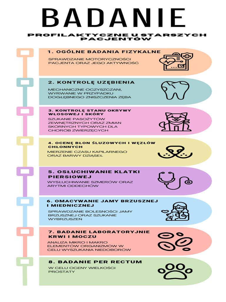 White Colorful Modern Timeline Design Process Infographic | PDF