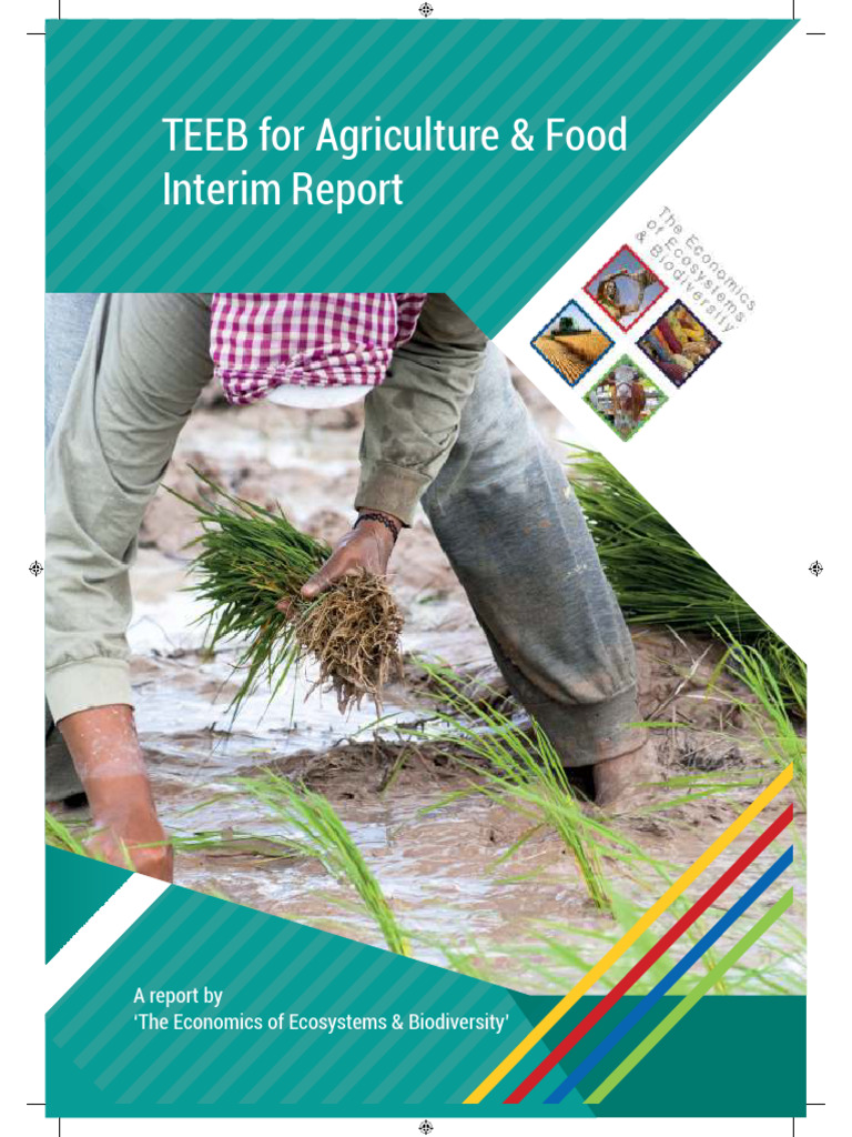 TEEB Agriculture & Food Interim Report | PDF | Agriculture | Sustainability