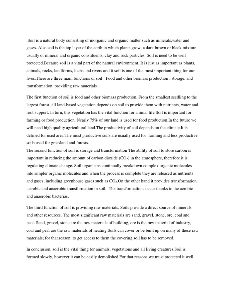 Soil Essay | Organic Matter | Soil