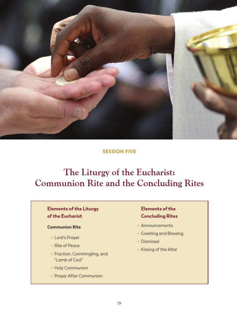 A Biblical Walk Through The Mass 10th Anniversary, Revised E | PDF ...