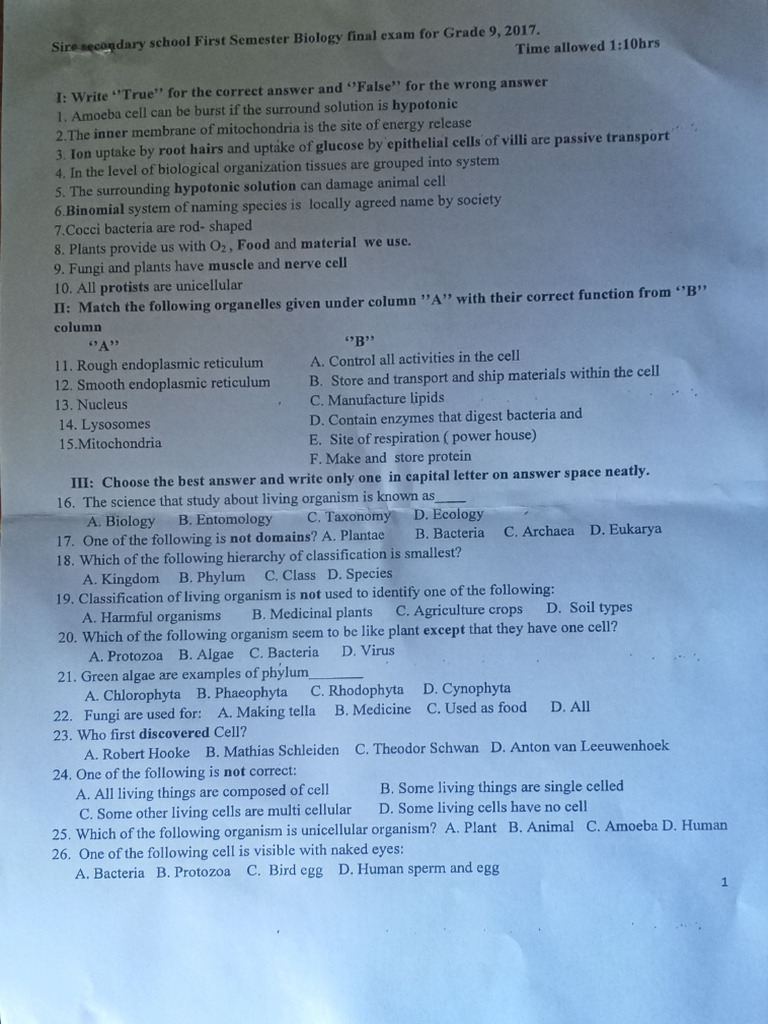 Scanned_20250131_161319 | PDF