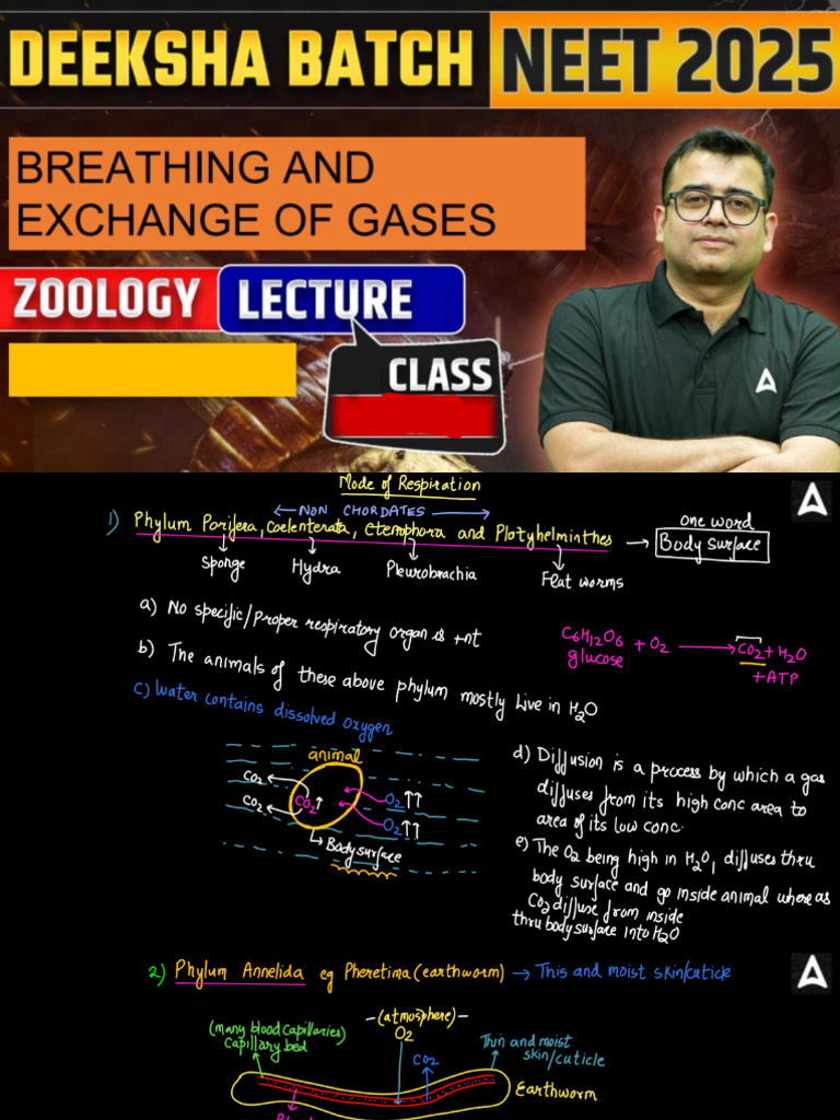 lc2 | PDF