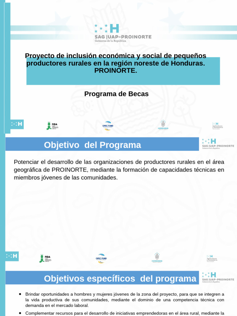 Programa de Becas | PDF