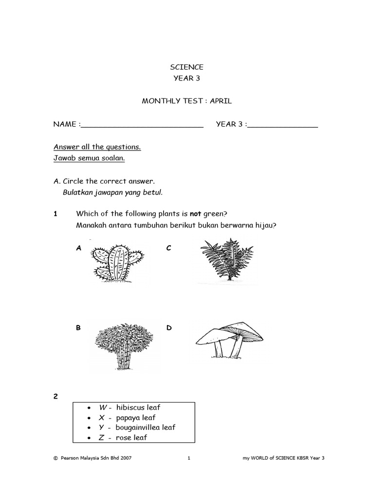Soalan Science Year 3 | PDF | Magnet | Plants