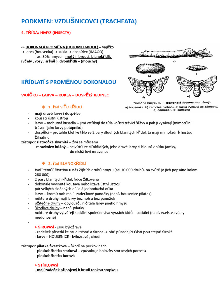 3 Hmyz - Proměna Dokonalá | PDF