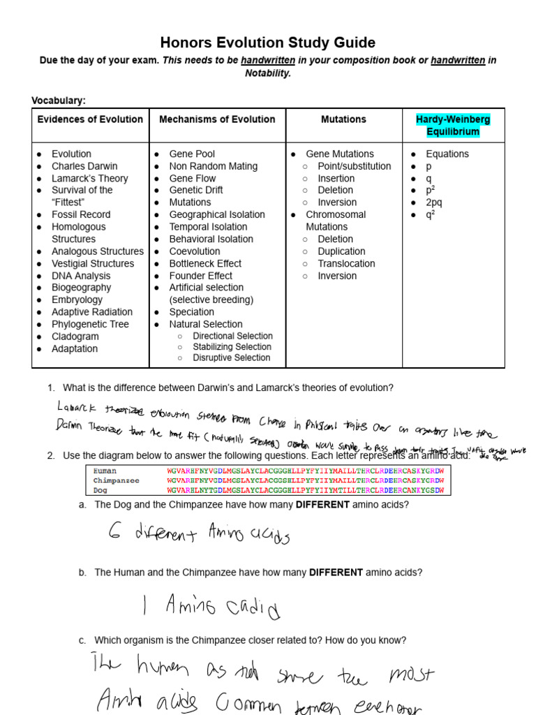 Honors Biology Unit 7 Evolution Study Guide 2025 3 | PDF | Evolution ...