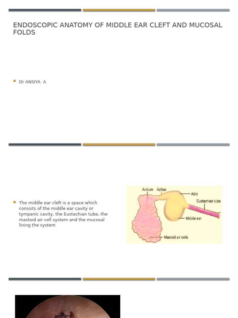 Middle Ear Spaces and Mucosal Folds | PDF | Ear | Auditory System