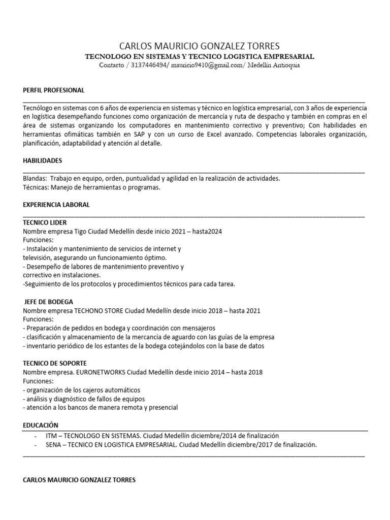 Formato HV ATS | PDF