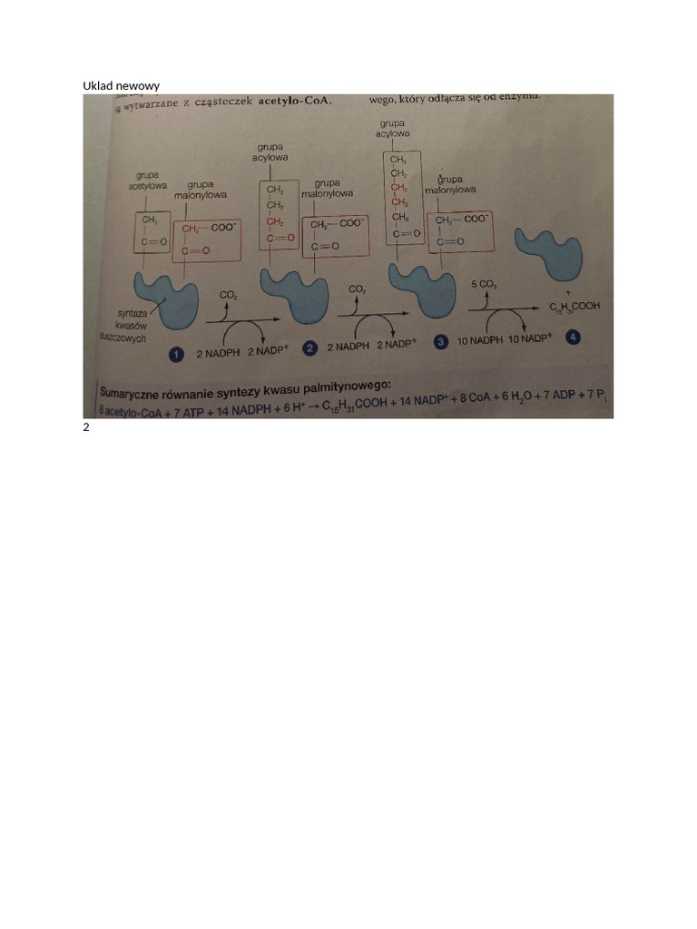Uklad Newowy 2 | PDF