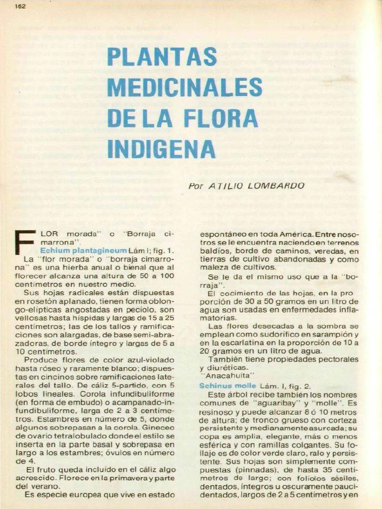 1979 Med 9 | PDF