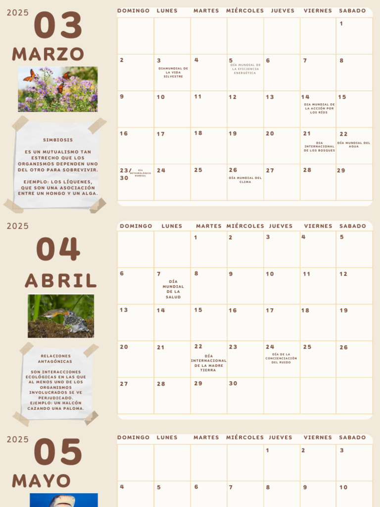 January 2025 Yellow Brown Illustration Calendar - 20250327 - 093800 ...