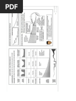 Grade 12 Drainage Patterns Overview | PDF