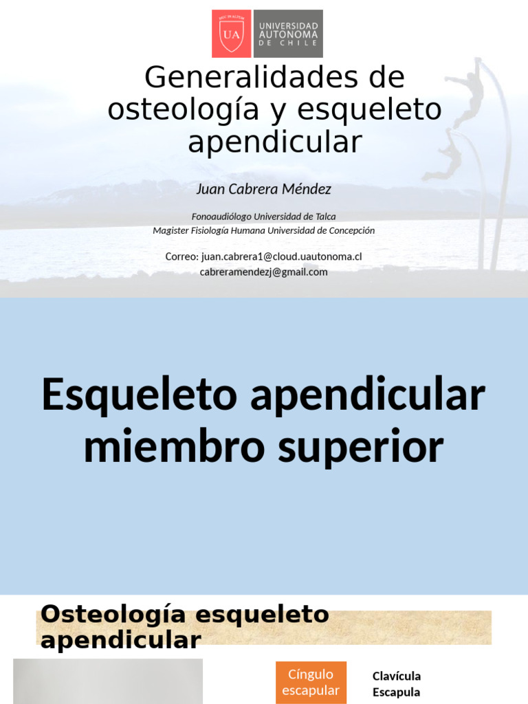 Clase+3+Anatom%C3%ADa+UA | PDF | Sistema musculoesquelético ...