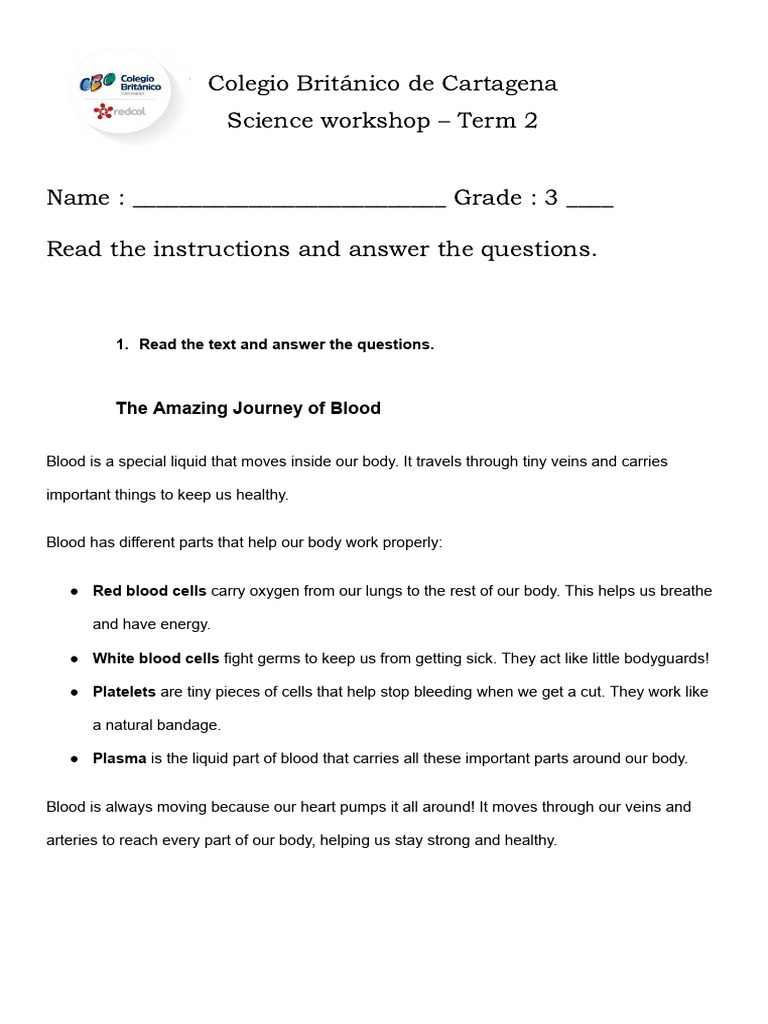 3rd Grade - Science Workshop II Term | PDF | Circulatory System | Blood